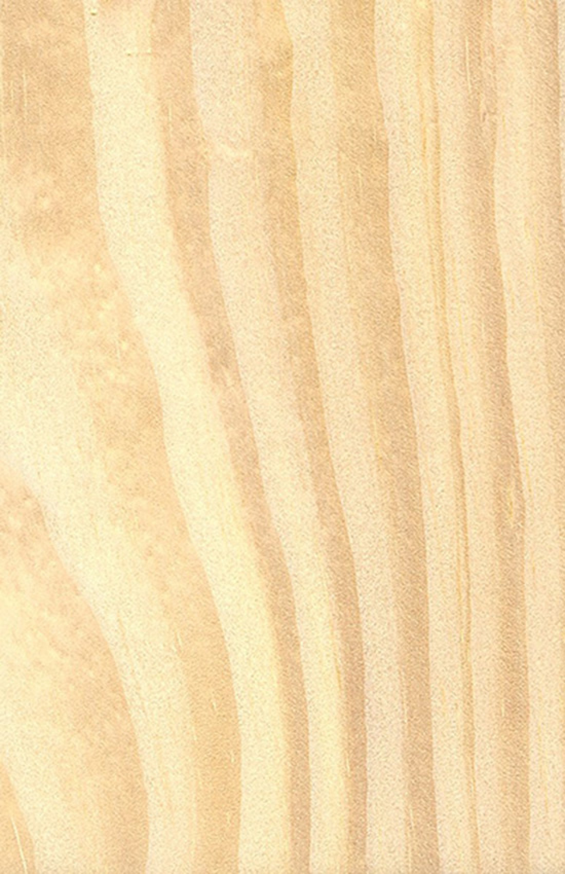 Guitars & Woods - Luthier Supplies