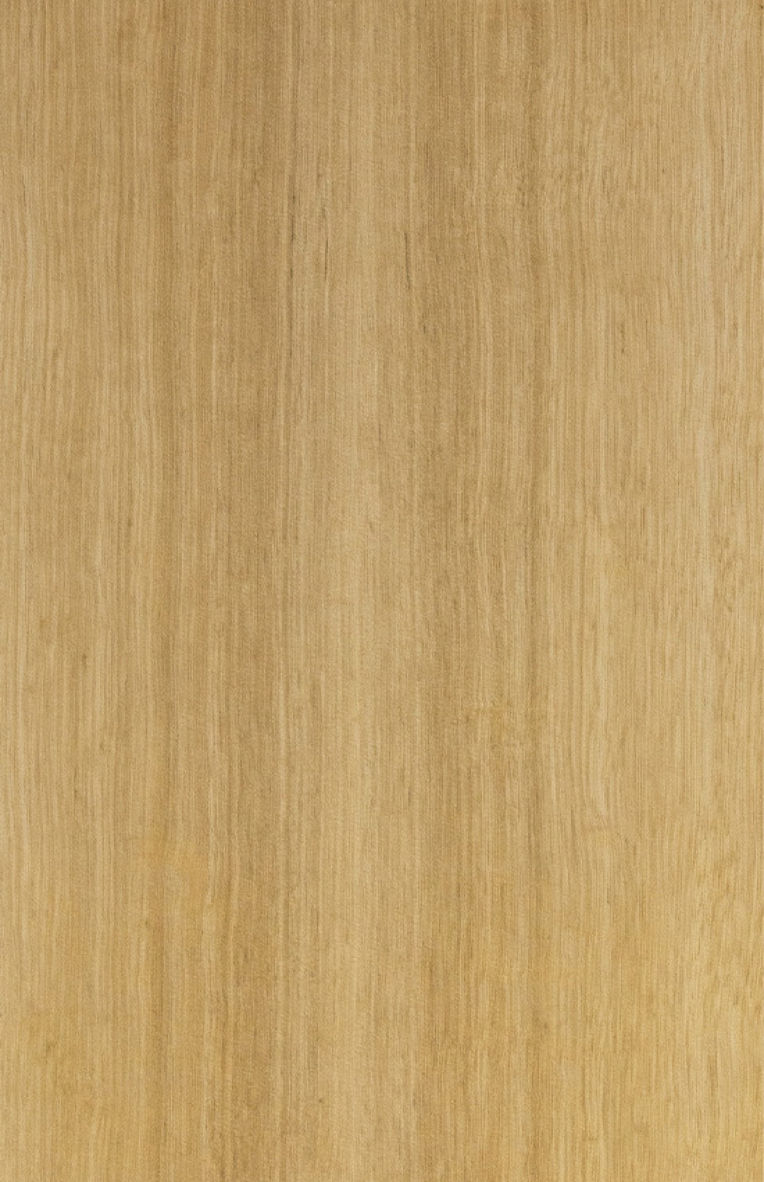 Guitars & Woods - Luthier Supplies