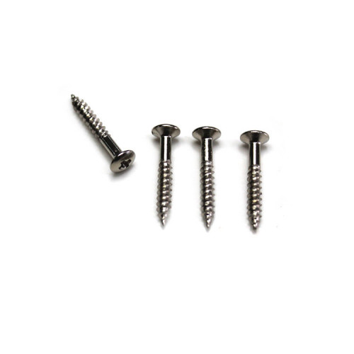 TRUSS ROD COVER SCREWS