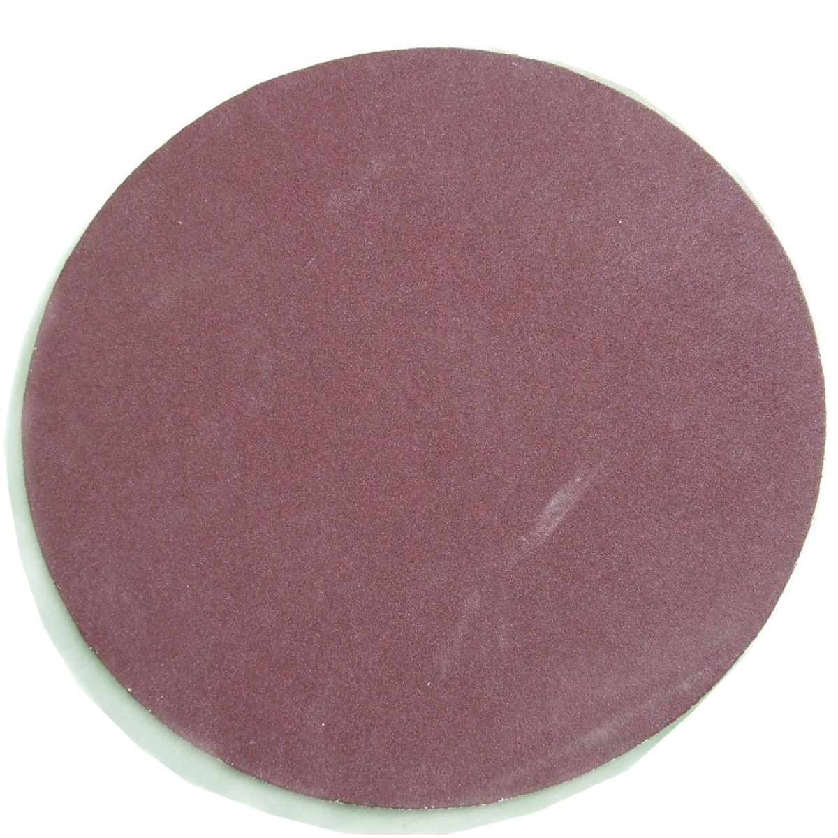SANDING DISC FOR RADIUS DISHES